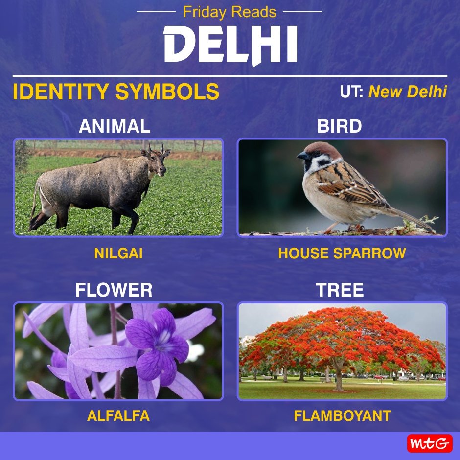 State Emblem and Symbols of Delhi