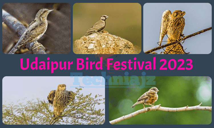 Udaipur Bird Festival 2023: Udaipur is set for the 9th Annual Bird Festival