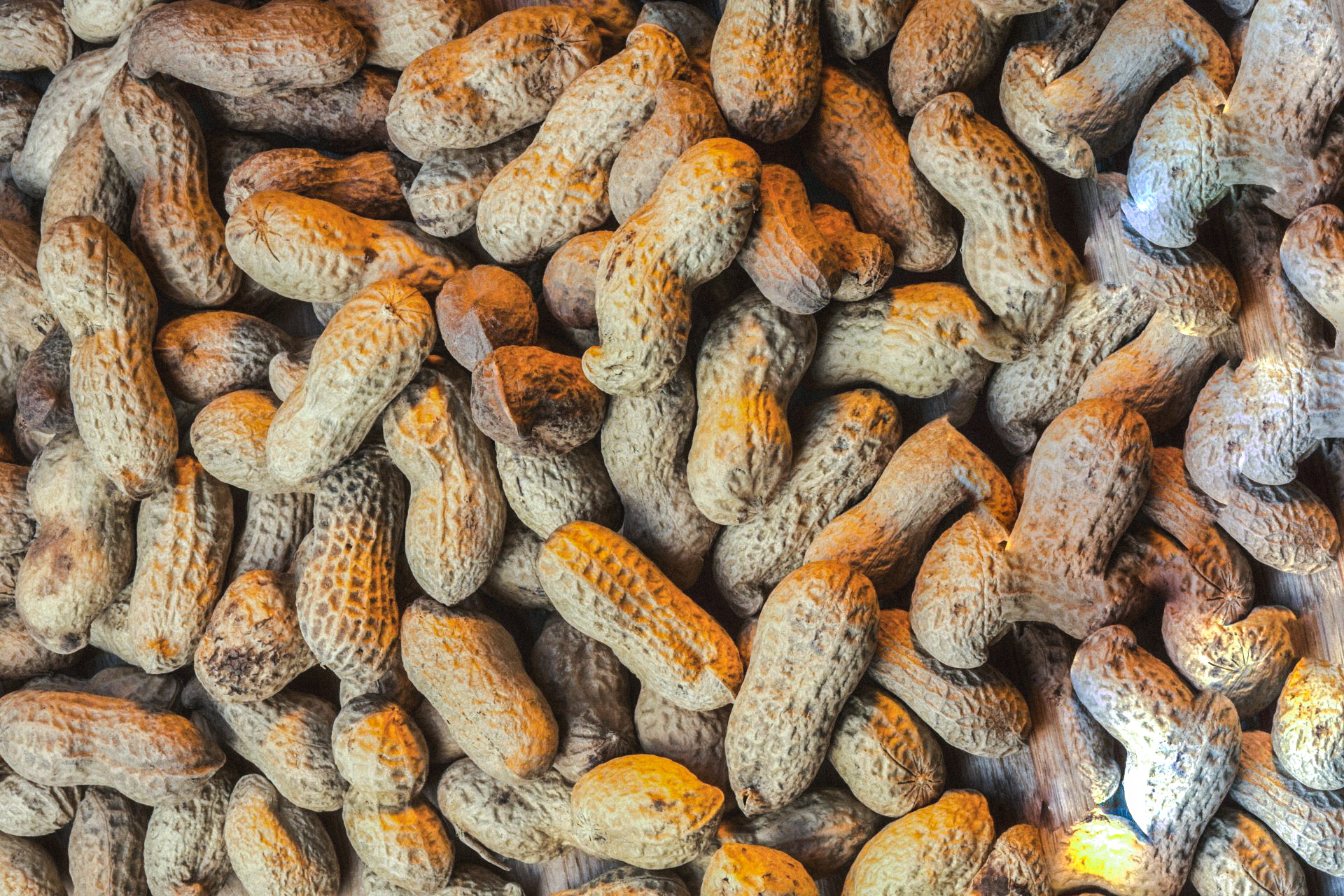 Peanuts - Parts, Nutritional Facts, Health Benefits, and Peanut Allergies