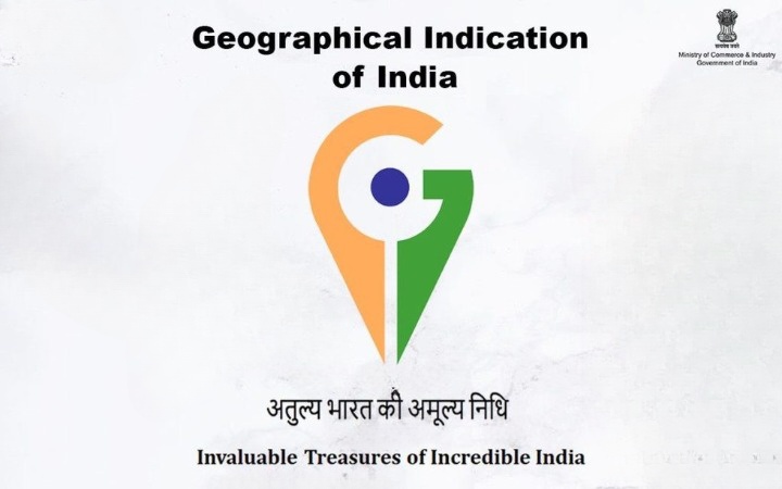 Geographical Indication Classes: Goods and Their Categories