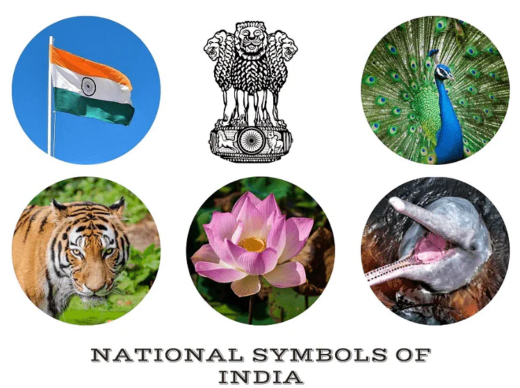 National Symbol and State Emblem of India