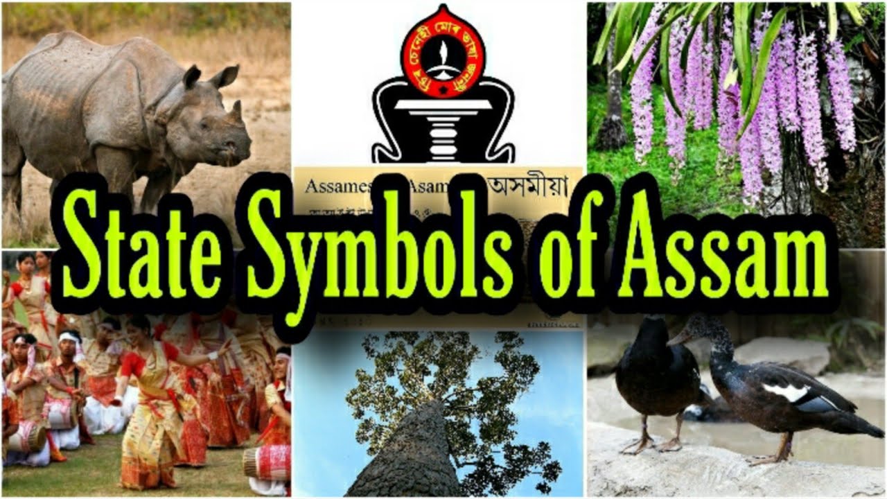 State Emblem and Symbols of Assam