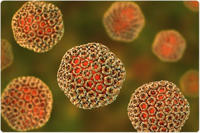 What is Rift Valley Fever, Causes, Symptoms, Diagnosis, Treatment, and ...